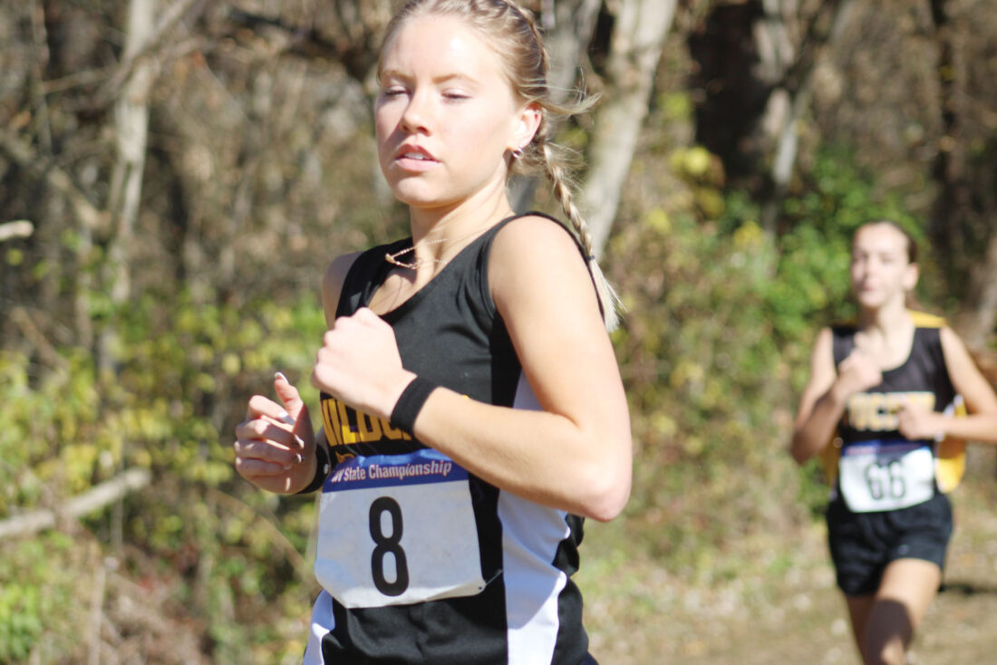 Wood County Christian’s Lacey Dimit signs with West Lib | News, Sports ...